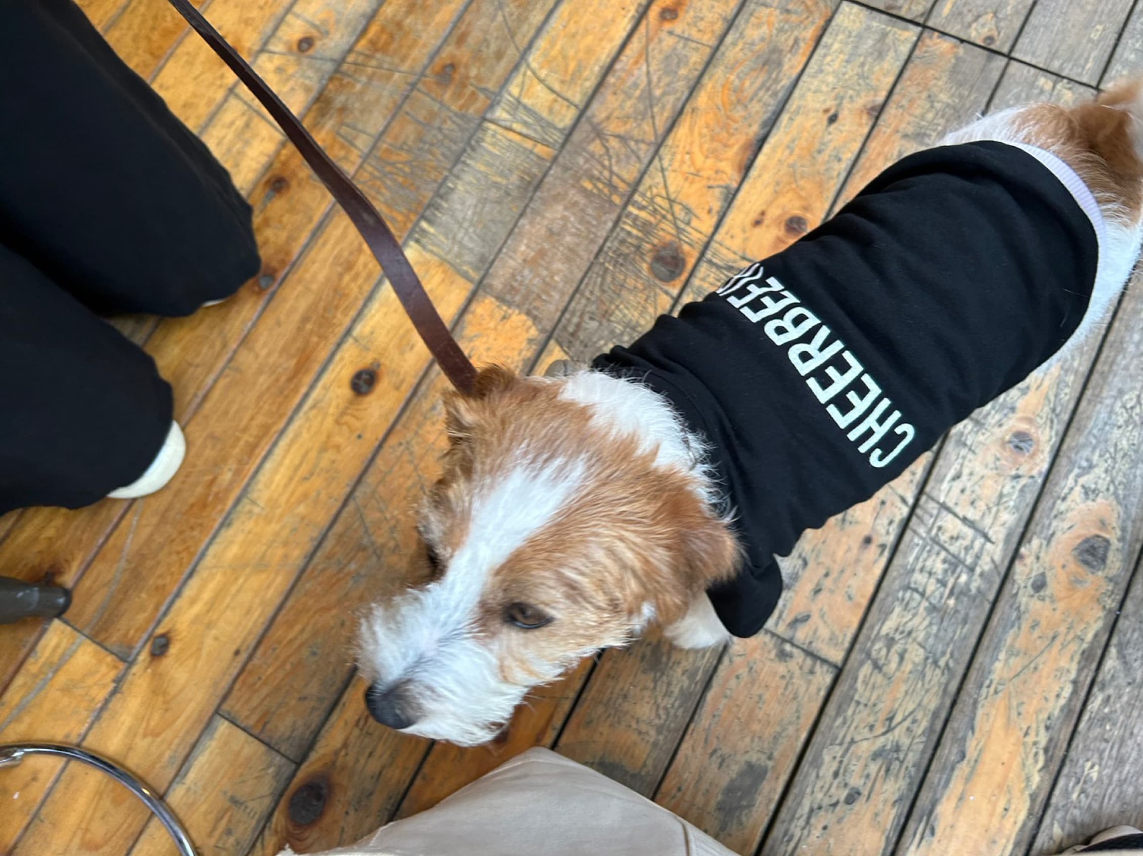 CHEERBEE(R) | ストリート・アウトドア・フレブルウエアを展開するアパレルブランド