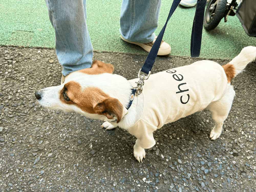 CHEERBEE(R) | ストリート・アウトドア・フレブルウエアを展開するアパレルブランド